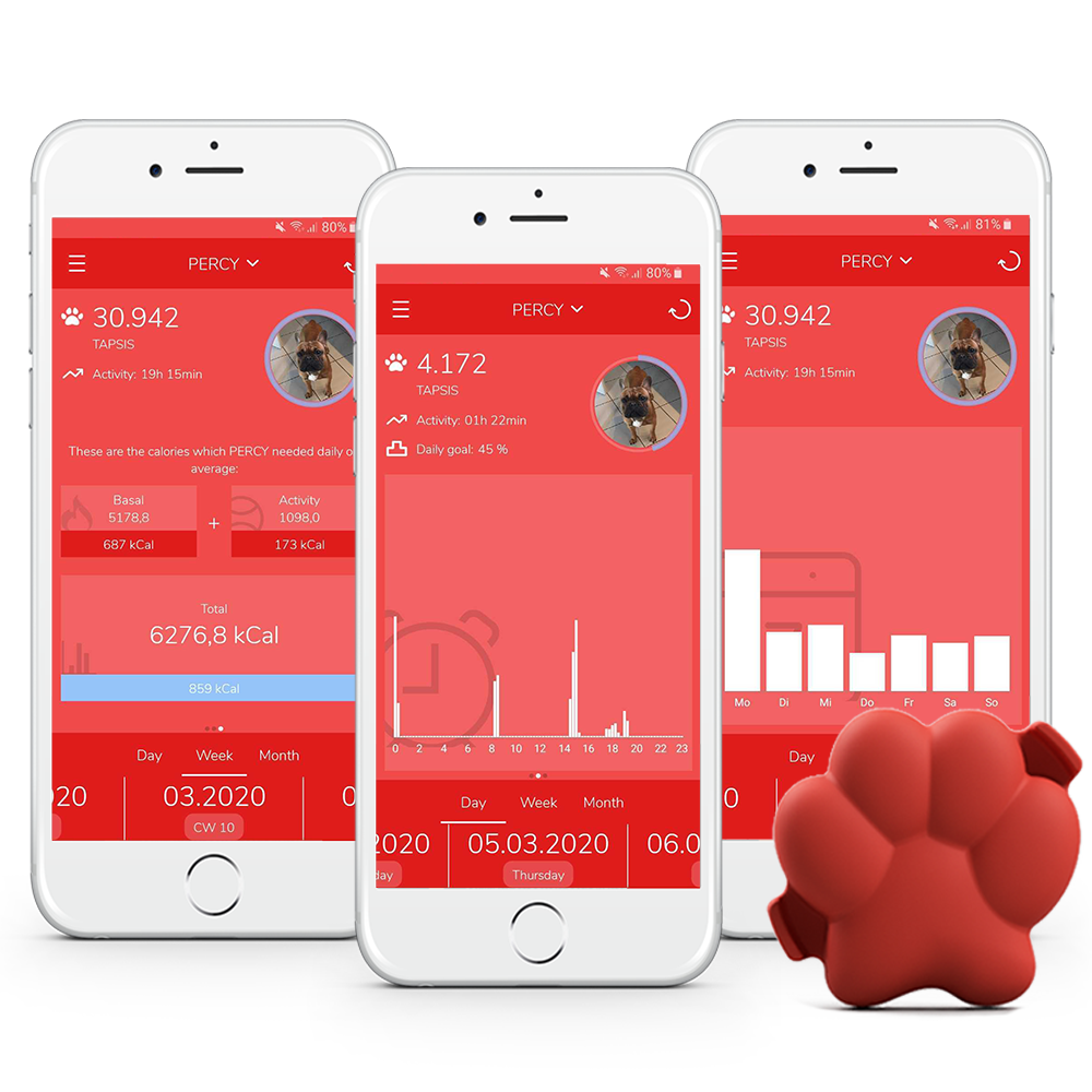 Hunde-Tracker Furryfit wird Teil der Animalytics GmbH